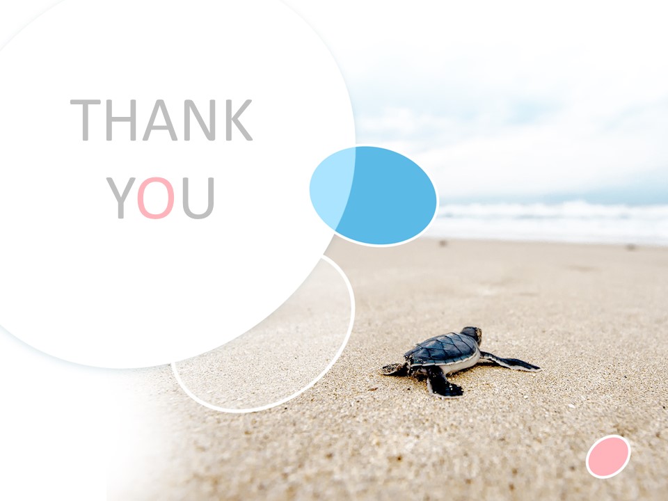 A Turtle Going to the Sea - Google Slides Templates Free Download