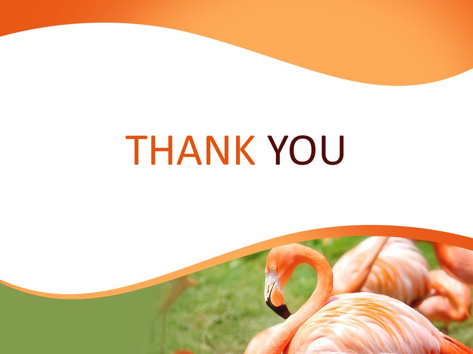 Flamingo - Free Google Slides themes