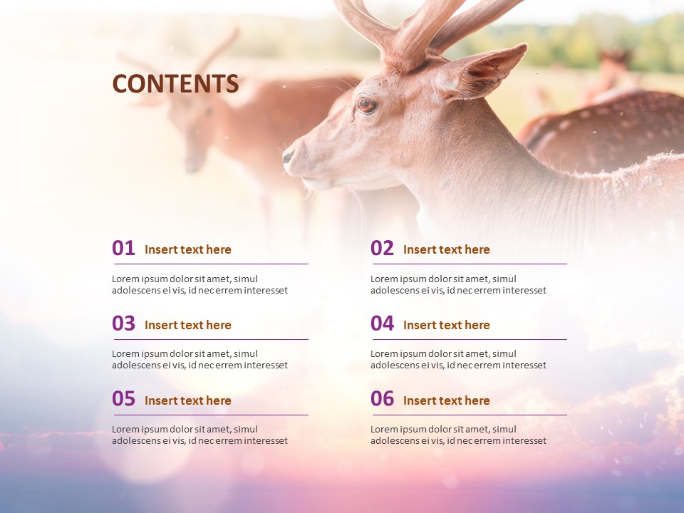 Free Professional Google Slides Templates - Deer