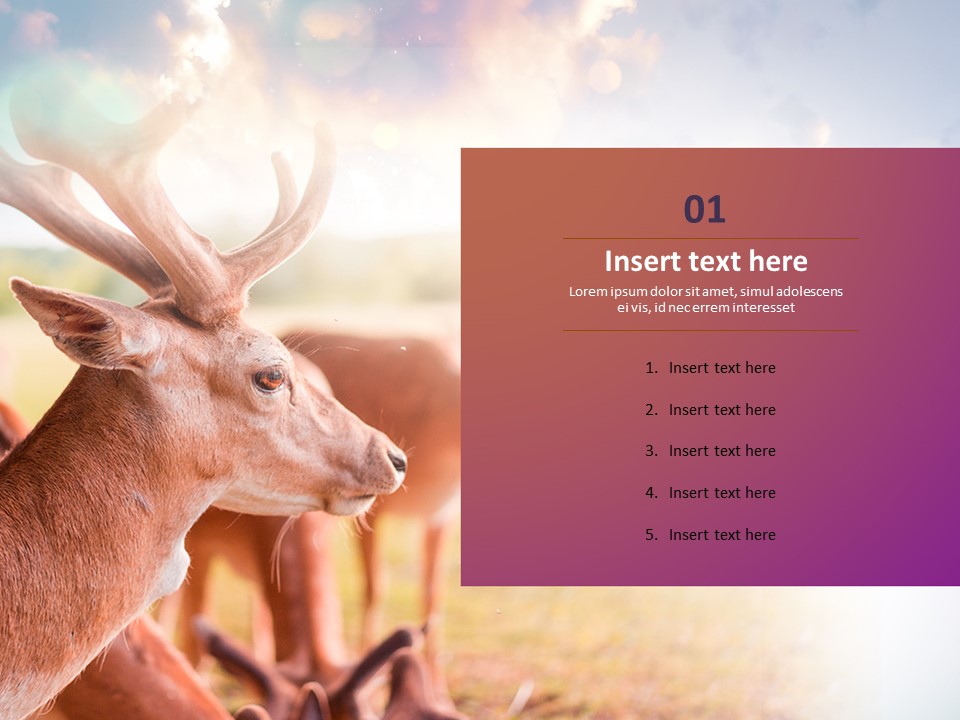 Free Professional Google Slides Templates - Deer