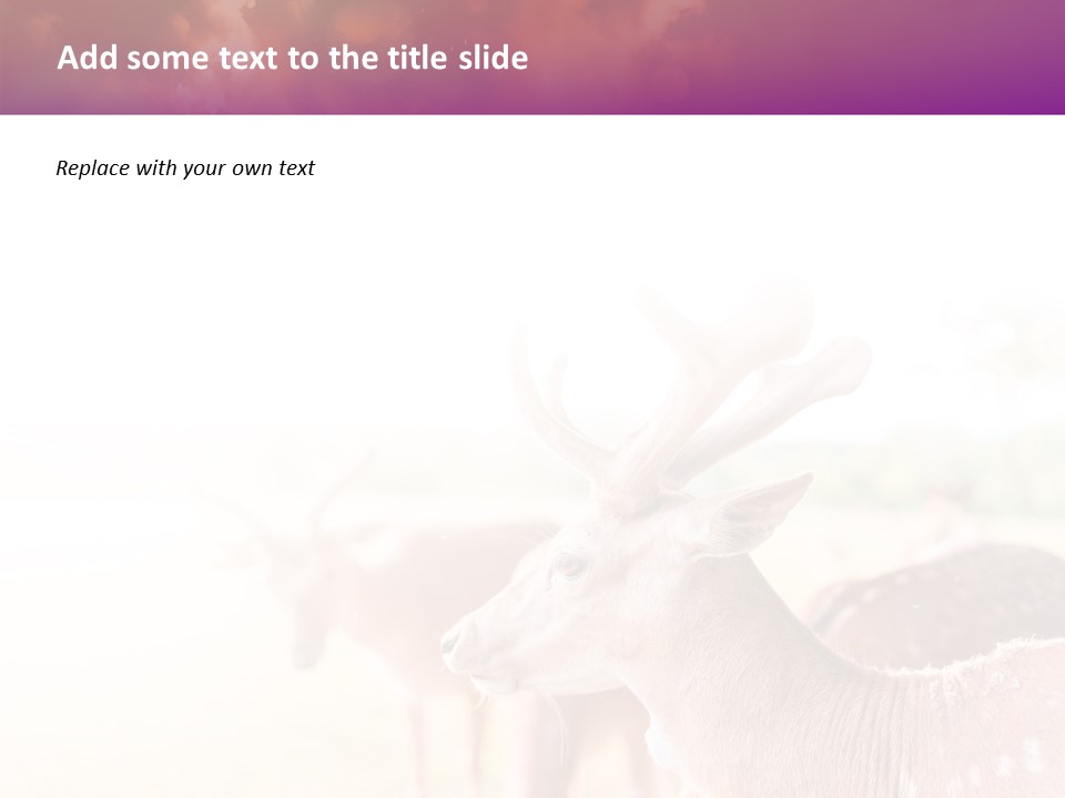 Free Professional Google Slides Templates - Deer
