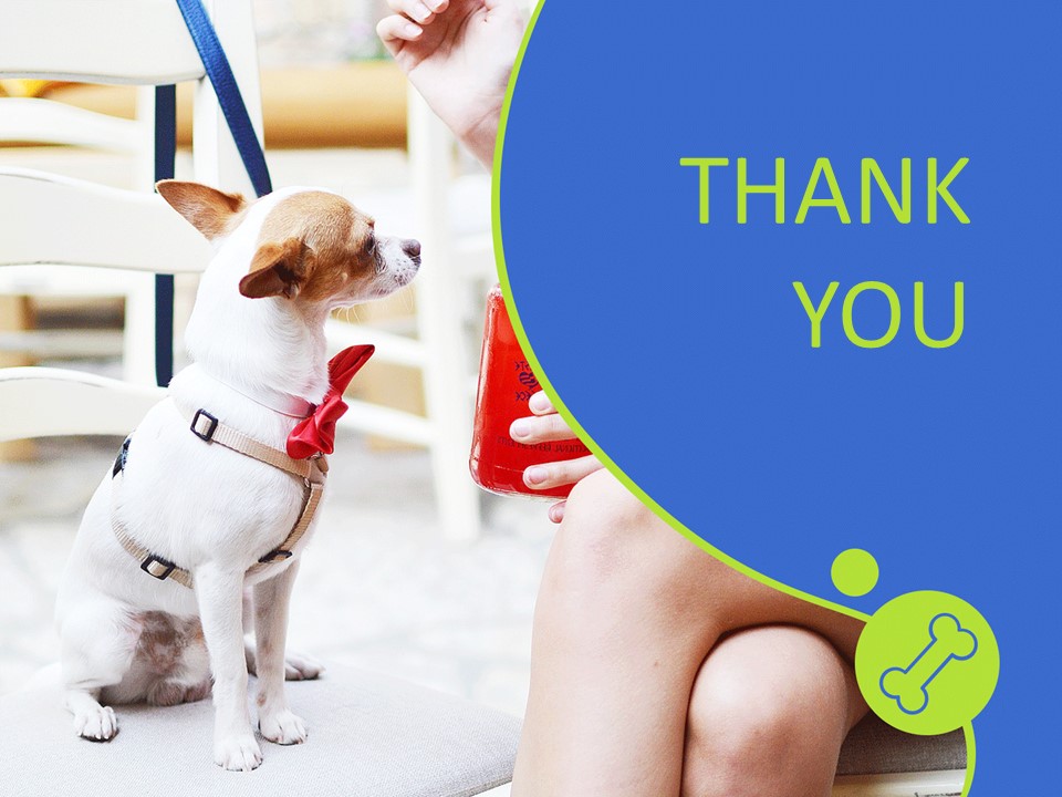 Free Professional Google Slides Templates - Pets