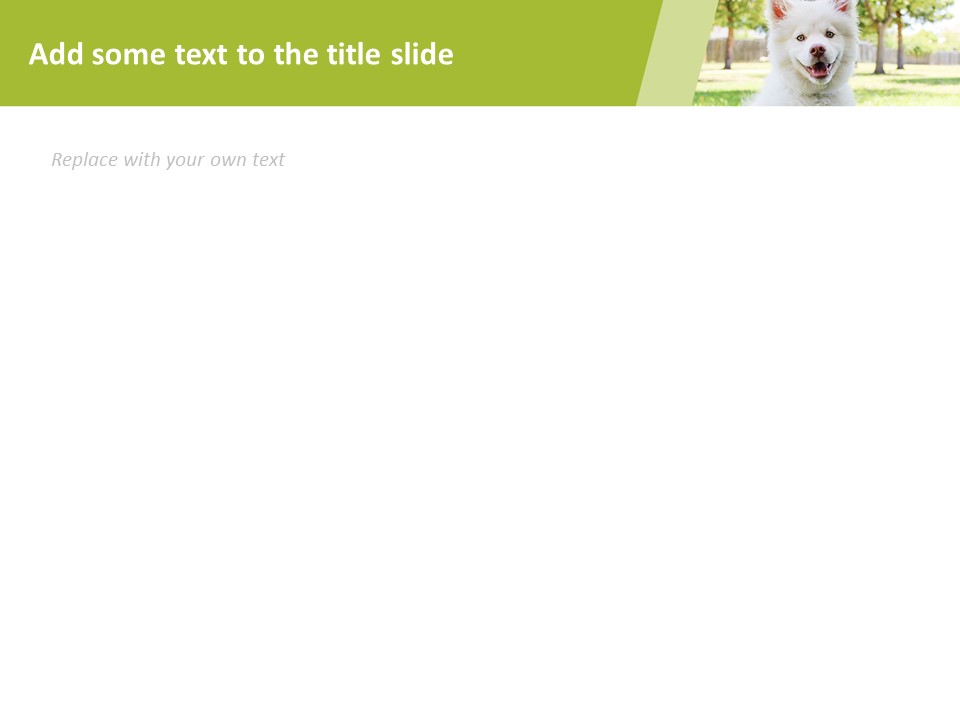 Google Slides Template Free - White Dogs