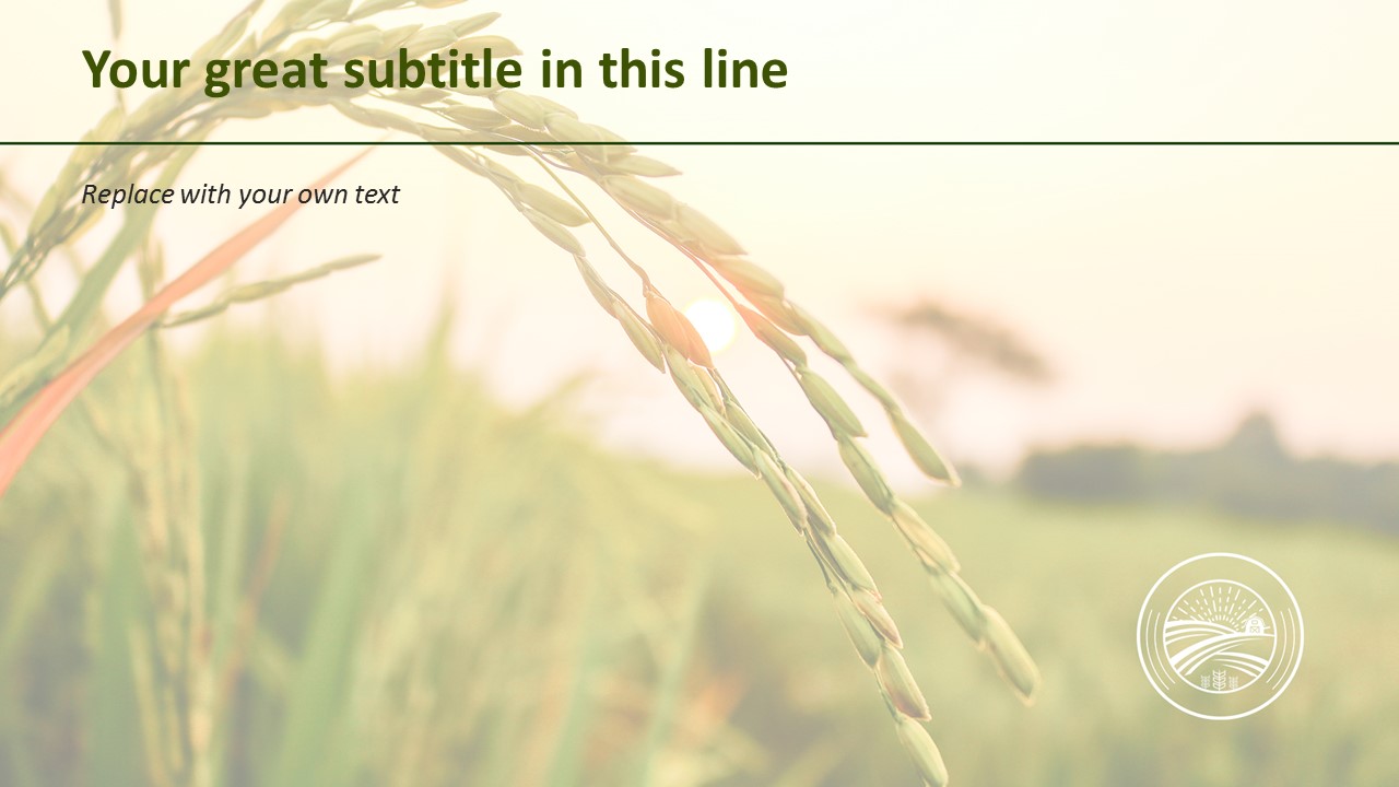 Autumn Rice Plant - Free Professional Google Slides Templates