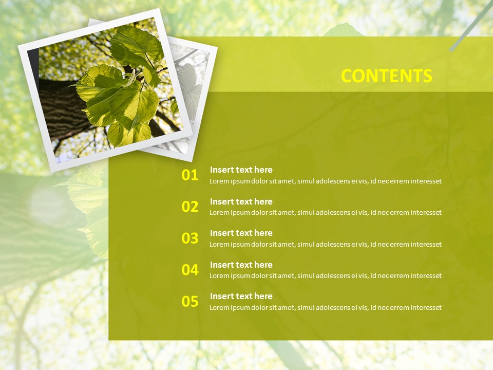 Free Google Slides Template - Green Leaves