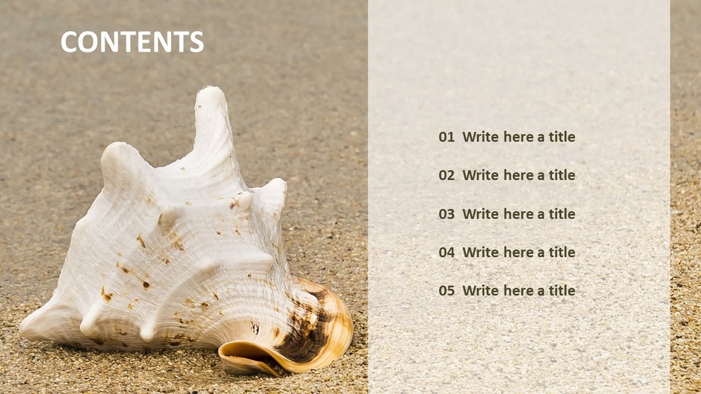 Free Google Slides Template Design - Seashell on the Beach