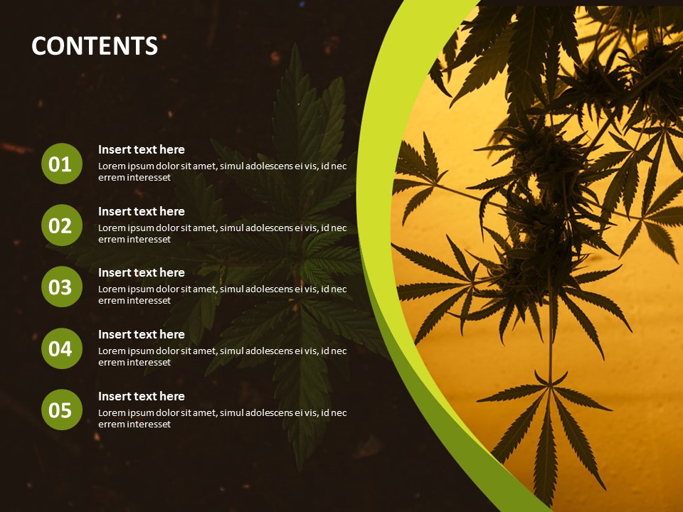 Google Slides Free - Marijuana Theme
