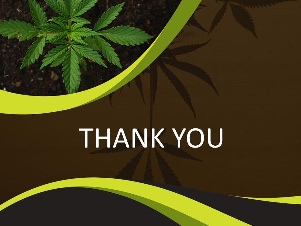 Google Slides kostenlos - Marihuana-Thema