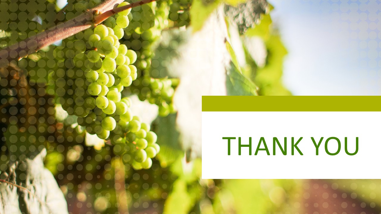 Google Slides Template Free Download - Green Grape Farm