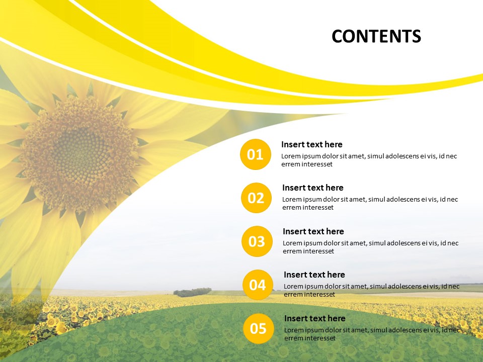 Sunflower Field - Free Google Slides themes