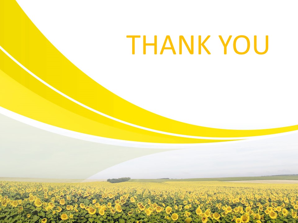 Sunflower Field - Free Google Slides themes