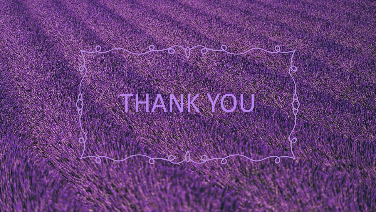 Free Presentation Templates - Lavender Field|Google Slides