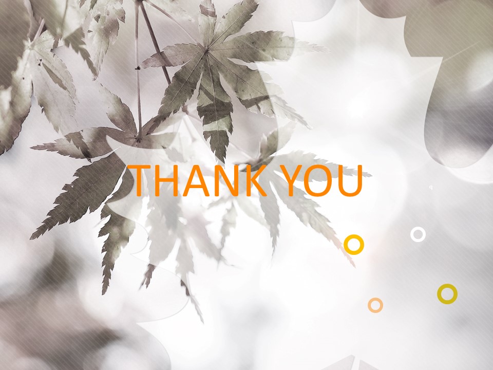 Free Presentation Templates - Maple Tree