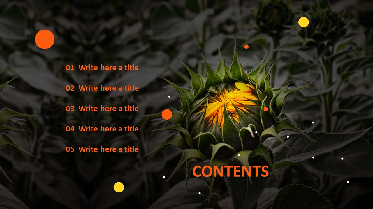 Sunflower - Google Slides Free