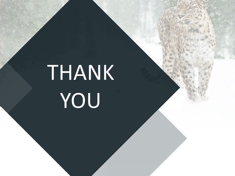 Free Business Google Slides Templates - Leopard