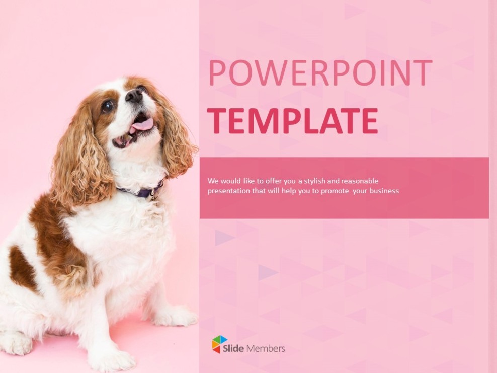 Free Images for Presentations - Puppy