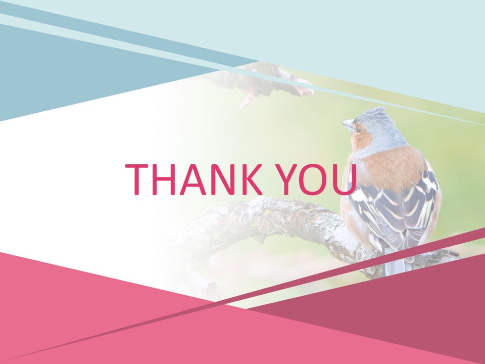 Free Presentation Templates - A Rare Bird Theme