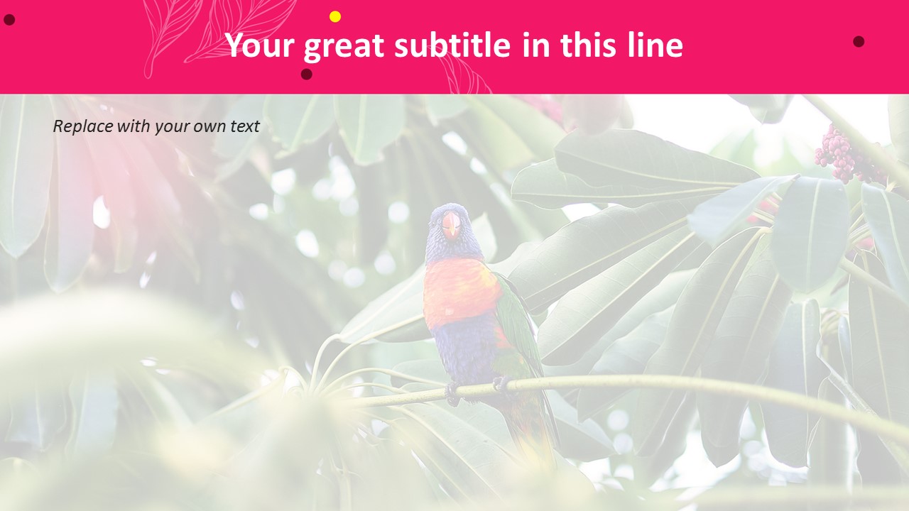 Parrot - Google Slides Templates Free Download