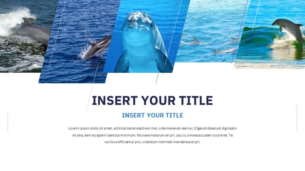 Dolphin Google Slides Templates for Your Next Presentation