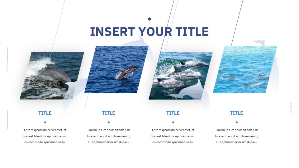 Dolphin Google Slides Templates for Your Next Presentation