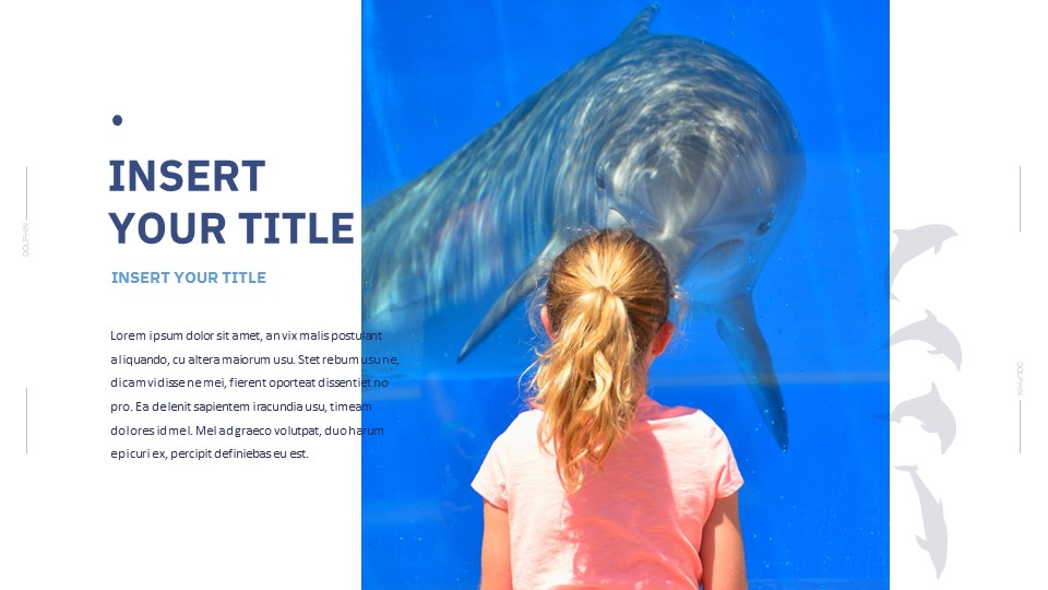 Dolphin Google Slides Templates for Your Next Presentation