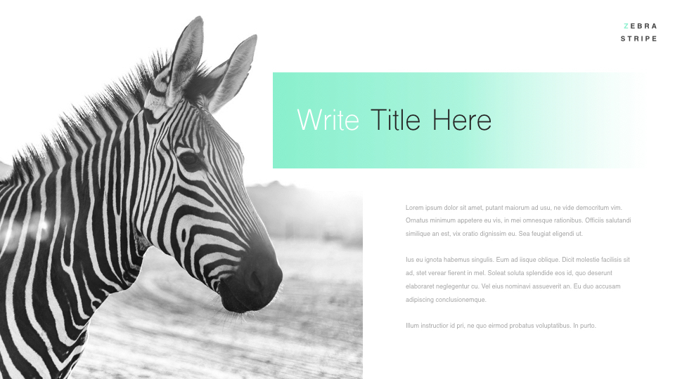 Zebra Stripe PowerPoint to Keynote|Lifestyle
