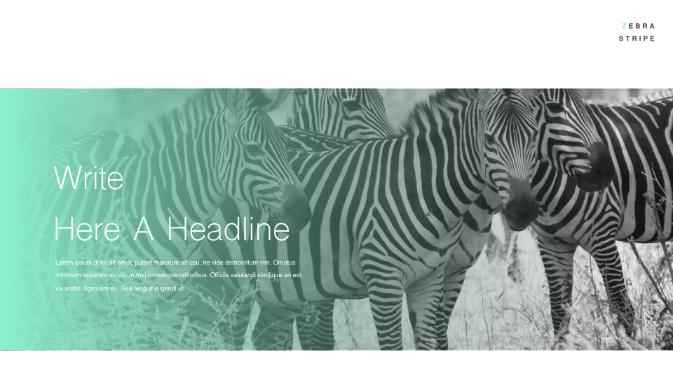 Zebra Stripe PowerPoint to Keynote|Lifestyle
