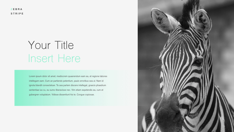 Zebra Stripe PowerPoint to Keynote|Lifestyle