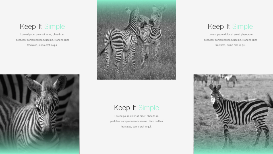 Zebra Stripe PowerPoint to Keynote|Lifestyle