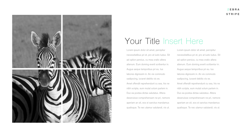 Zebra Stripe PowerPoint to Keynote|Lifestyle