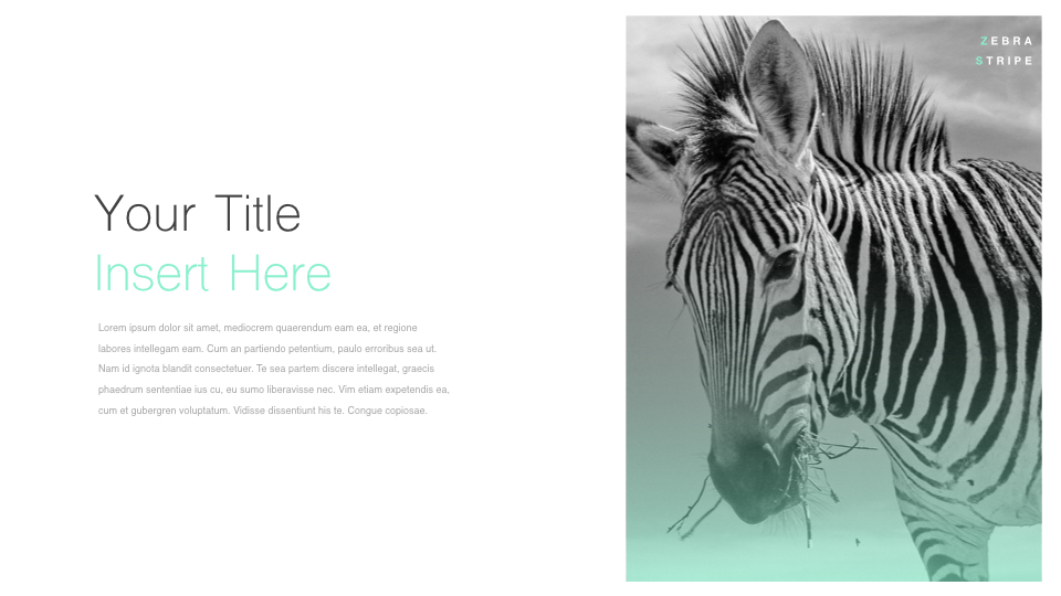 Zebra Stripe PowerPoint to Keynote|Lifestyle