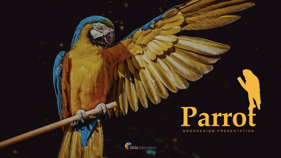 Parrot Keynote Windows