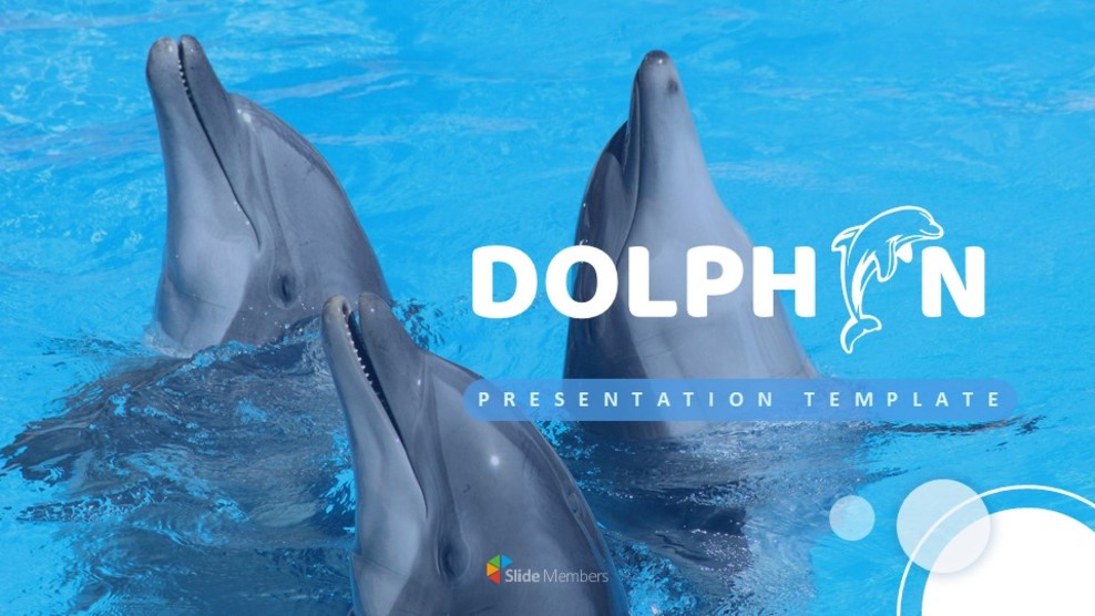 Dolphin Google Slides Template Diagrams Design
