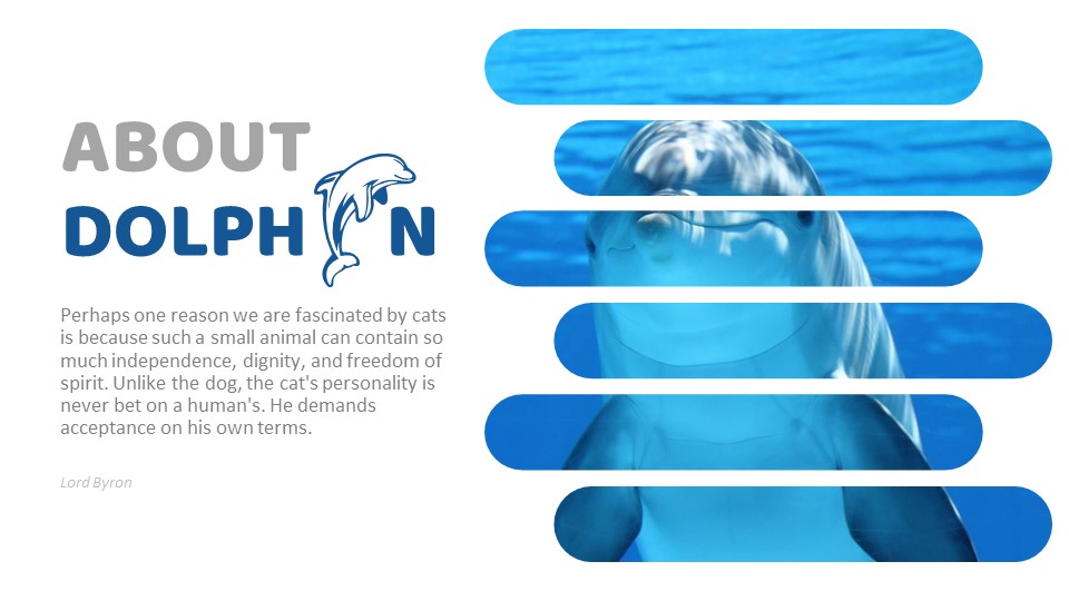 Dolphin Google Slides Template Diagrams Design