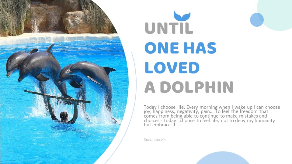 Dolphin Google Slides Template Diagrams Design