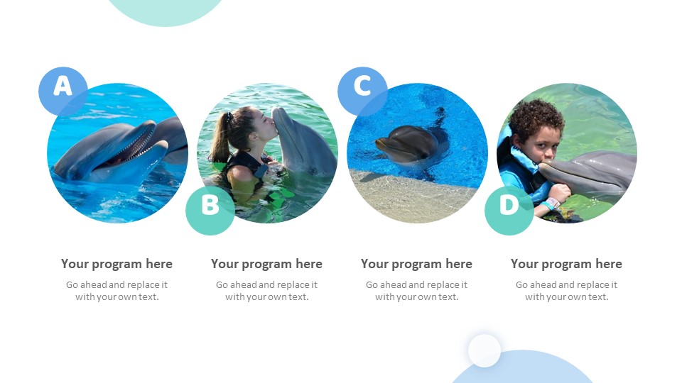 Dolphin Google Slides Template Diagrams Design