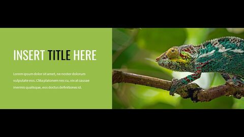 Reptiles Google Slides Templates for Your Next Presentation