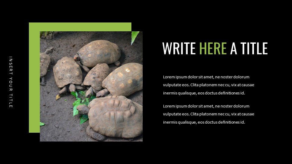 Reptiles Google Slides Templates for Your Next Presentation