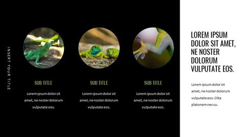 Reptiles Google Slides Templates for Your Next Presentation