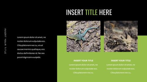 Reptiles Google Slides Templates for Your Next Presentation