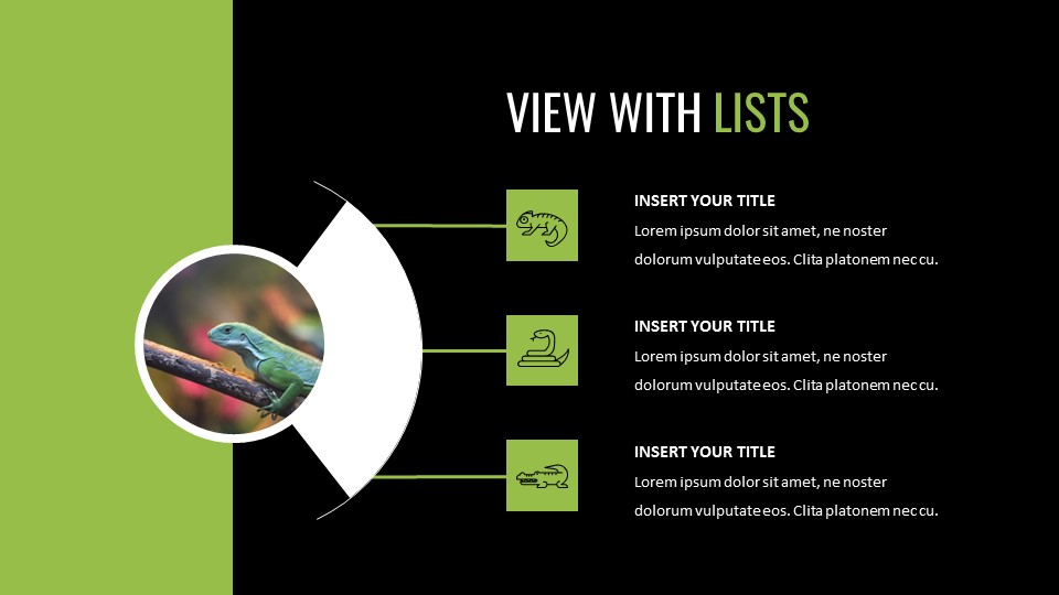 Reptiles Google Slides Templates for Your Next Presentation