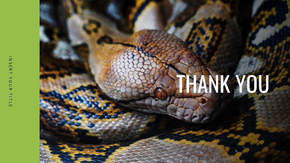 Reptiles Google Slides Templates for Your Next Presentation