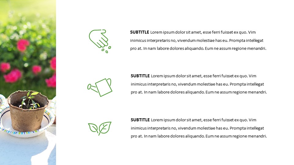 sprout Google Presentation Slides|Nature