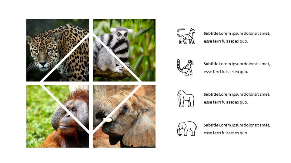Jungle Simple Google Slides Templates