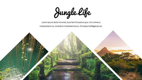 Jungle Simple Google Slides Templates