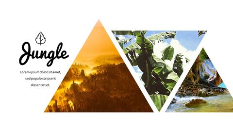 Jungle Simple Google Slides Templates