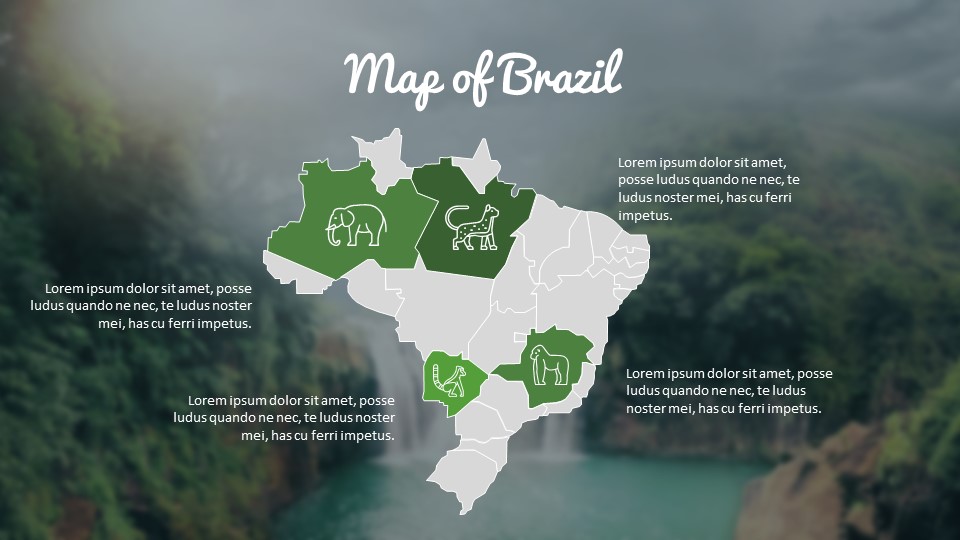 Jungle Simple Google Slides Templates