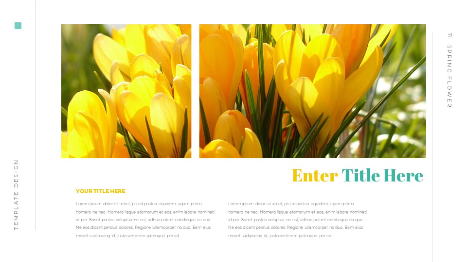 Spring Flower Easy Google Slides|Nature