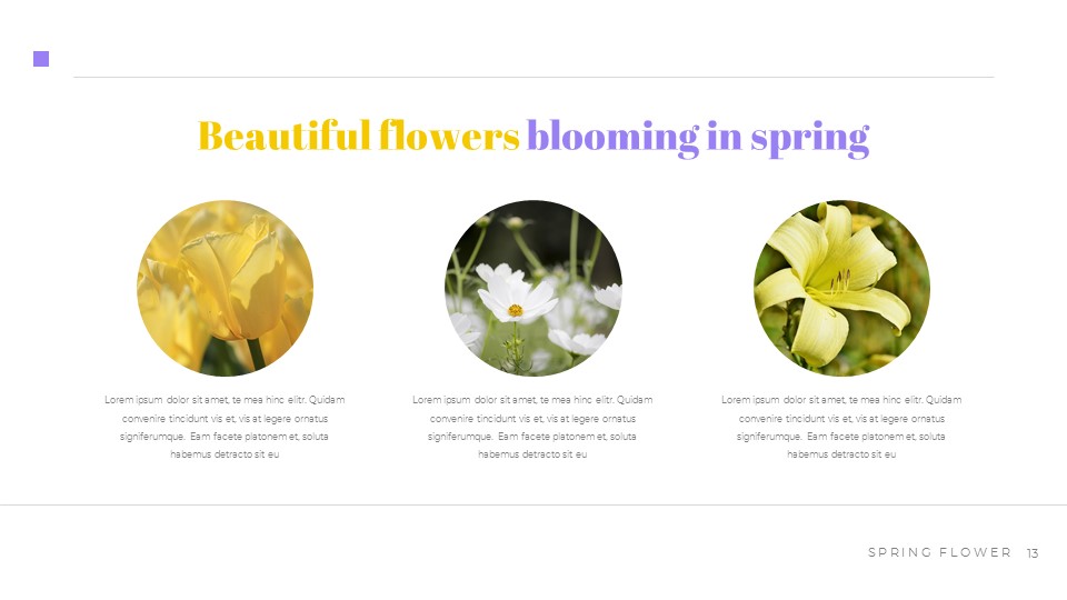Spring Flower Easy Google Slides|Nature