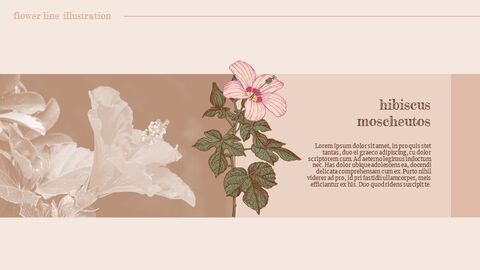 Flower Illustration Custom Google Slides